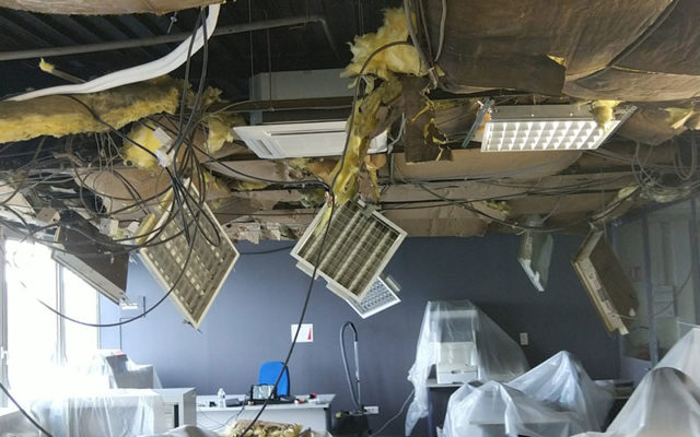 Faux-plafonds / Plafonds - ATRIUM